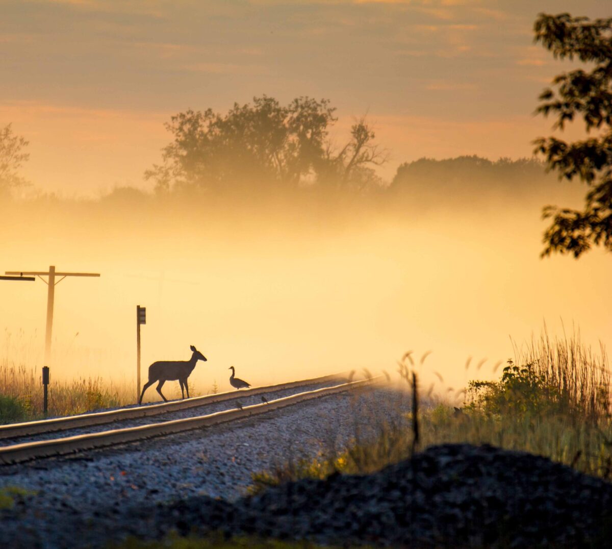 Recent Wisconsin Climate | Wisconsin State Climatology Office