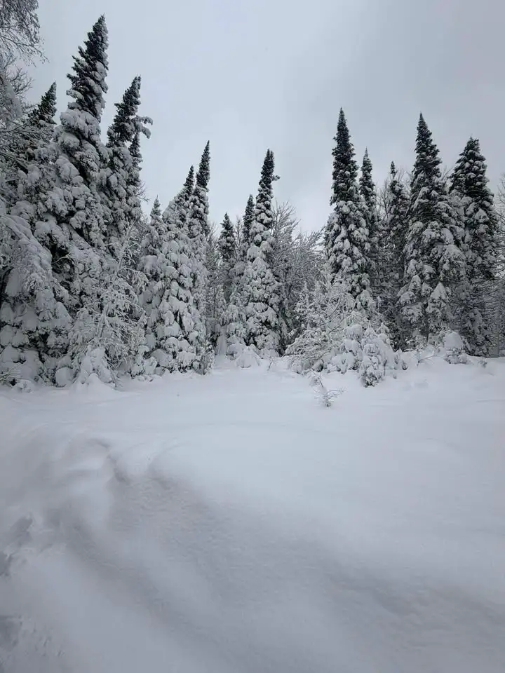 An Early Winter Wonderland: Wisconsin's Late November Snows of 2025 ...