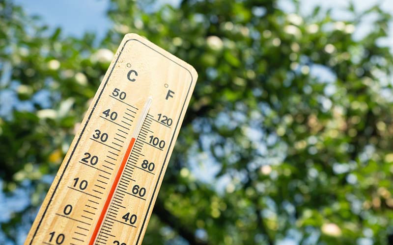 August 2023 Wisconsin Climate Summary | Wisconsin State Climatology Office