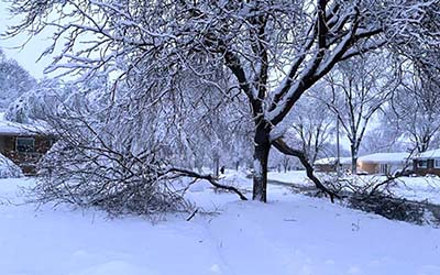 January 2024 Wisconsin Climate Summary | Wisconsin State Climatology Office