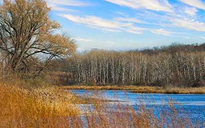 November and Autumn 2023 Wisconsin Climate Summary | Wisconsin State ...